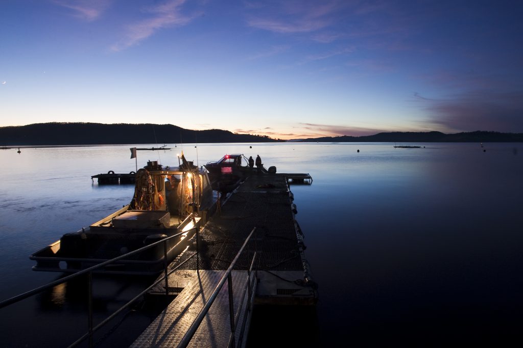 Privacy Policy - Tassal Group